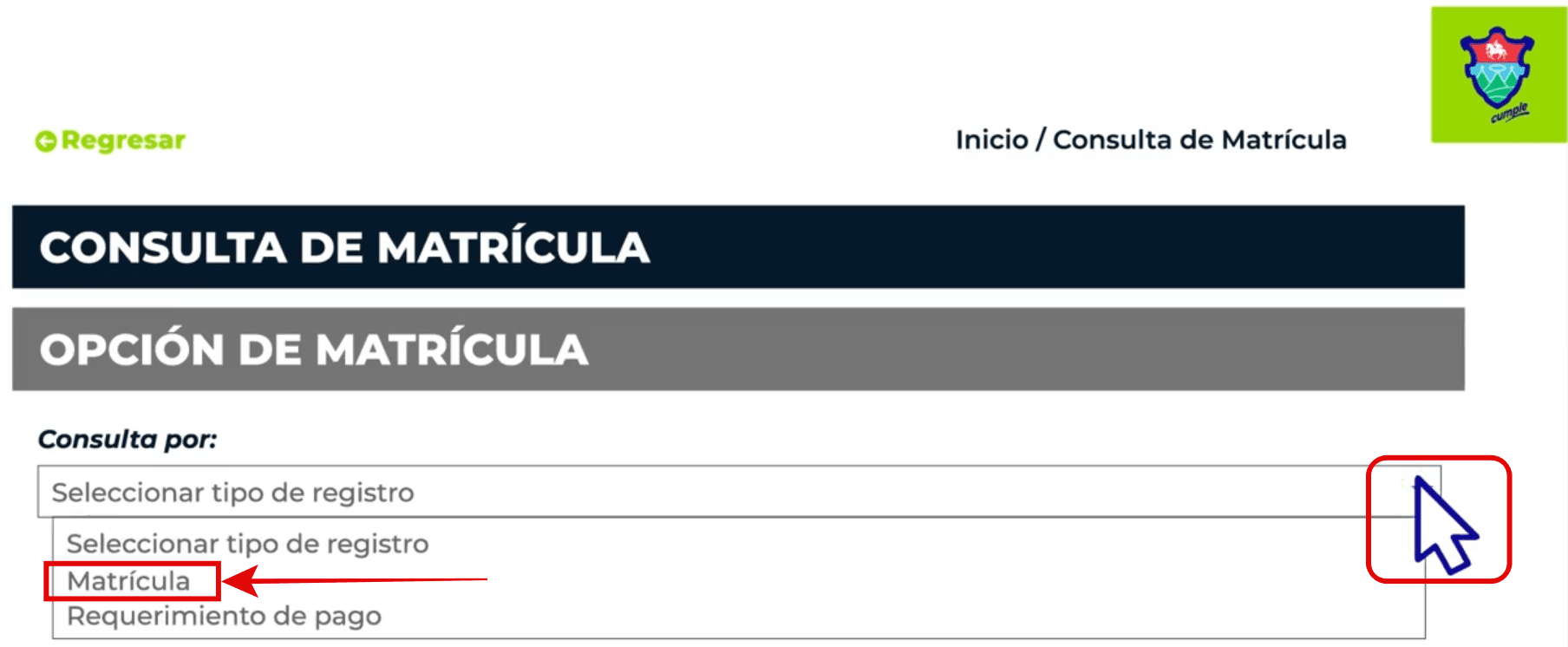 IUSI Municipalidad de Guatemala | Pago en Línea 2025
