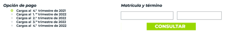 IUSI Municipalidad de Guatemala | Pago en Línea 2025
