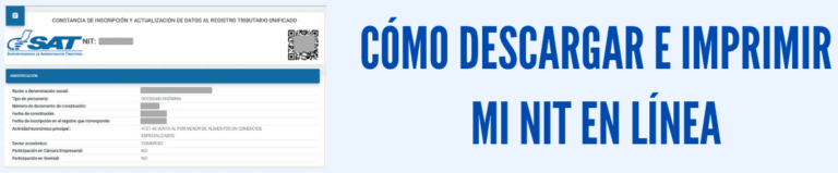Cómo imprimir mi NIT en línea | Guía 2025